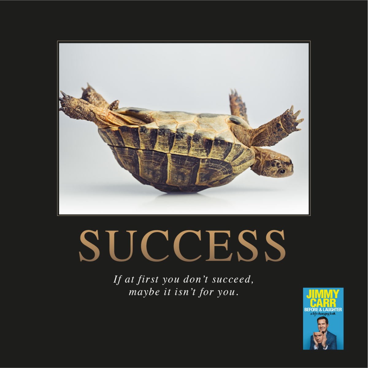 Jimmy Carr // Motivational Posters