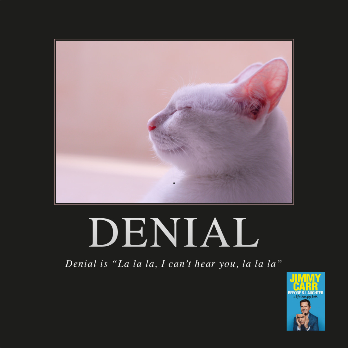 Jimmy Carr // Motivational Posters