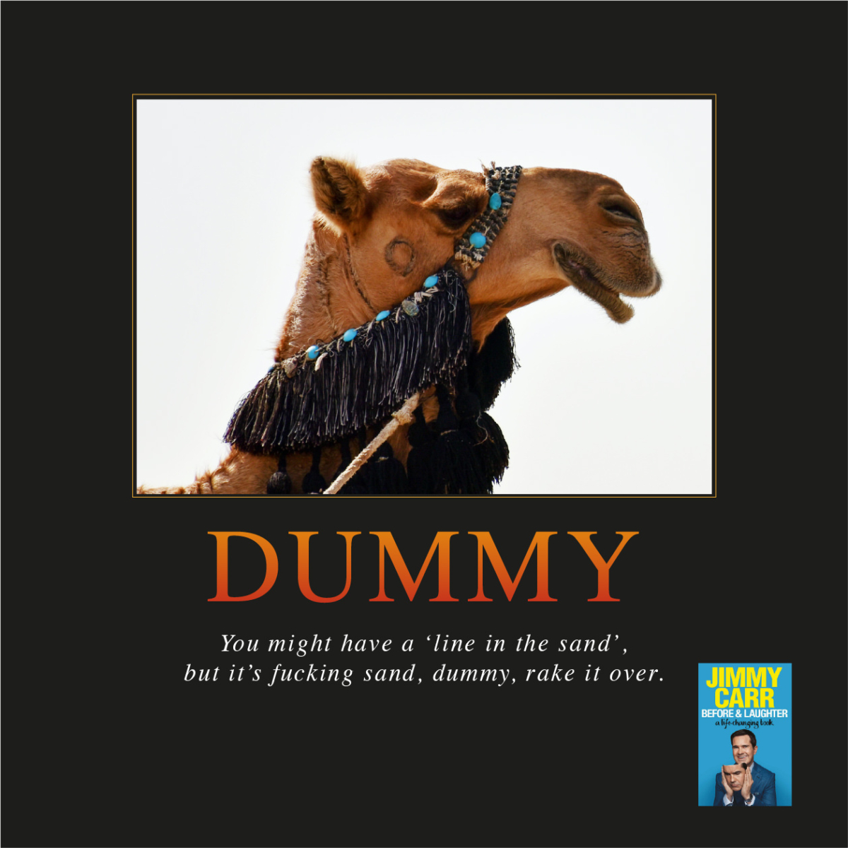 Jimmy Carr // Motivational Posters